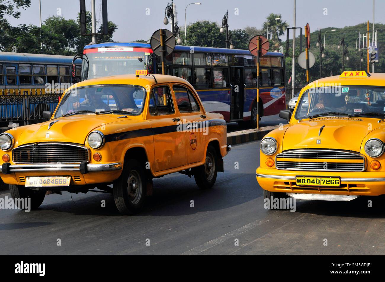 Yellow Ambassador taxis in Calcutta, India Stock Photo - Alamy