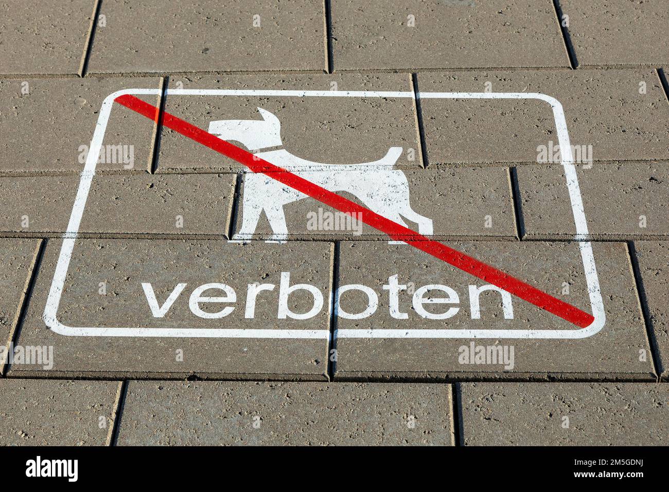 Dog prohibited marking hi-res stock photography and images - Alamy