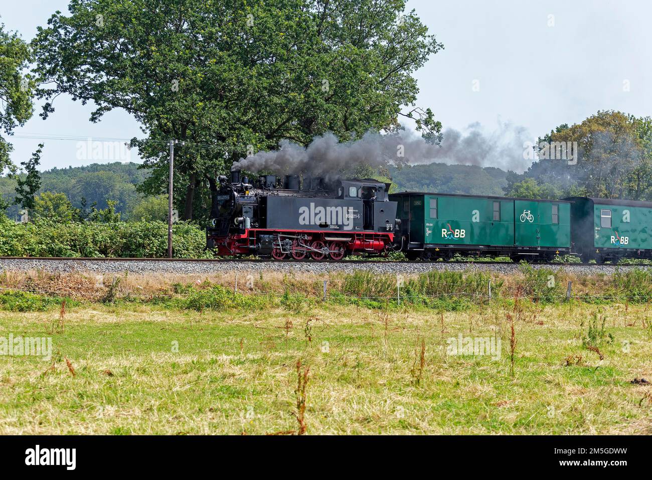 Ruegensche baederbahn hi-res stock photography and images - Alamy
