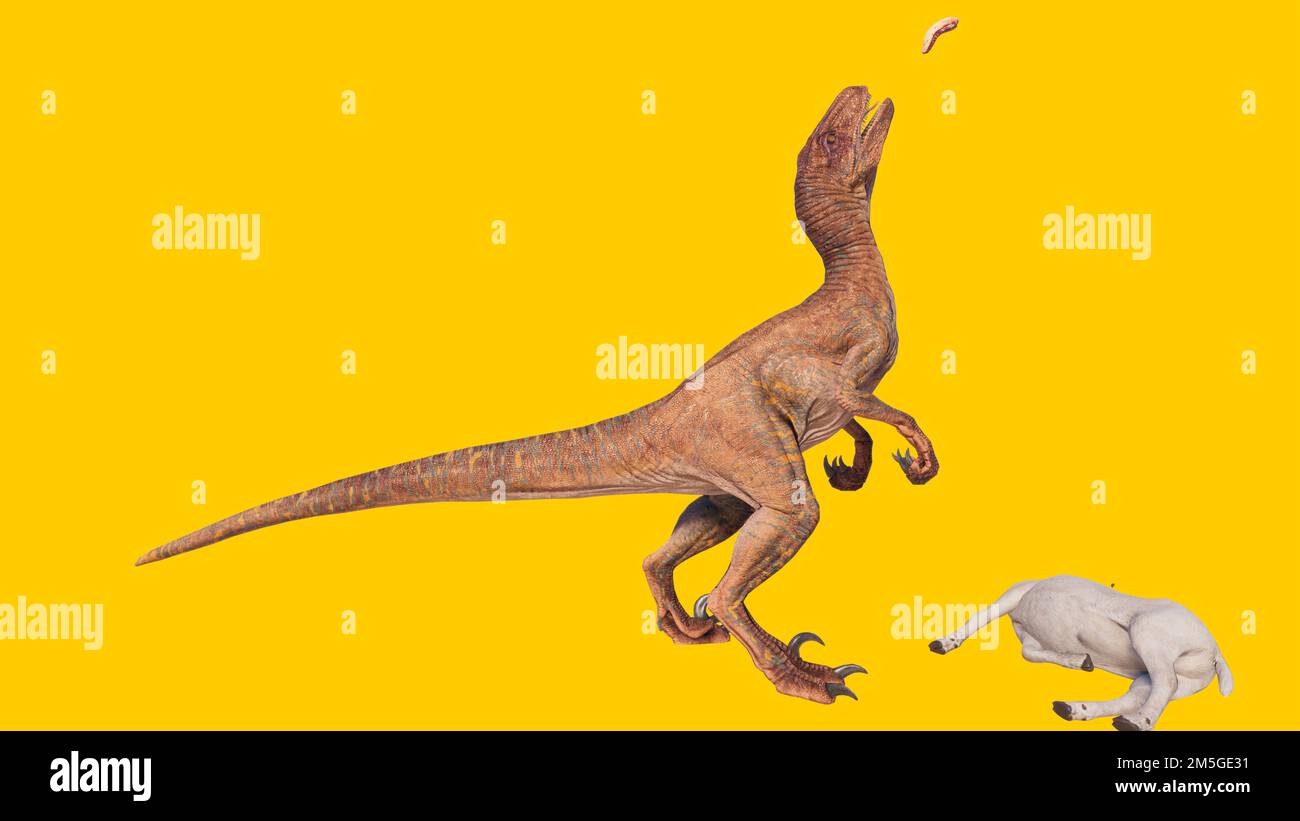 A 3D rendering of a Velociraptor dinosaur eating its prey isolated on a ...