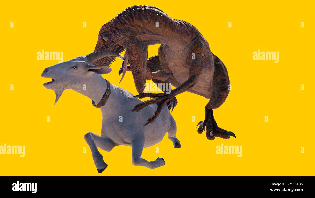 A 3D rendering of a Velociraptor dinosaur eating a goat isolated on a ...