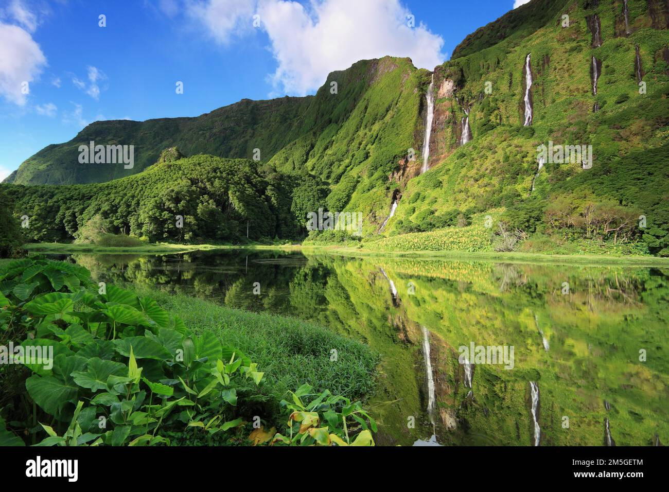 Waterfalls on the forested slope of a volcano reflected in a lake, Ilha ...