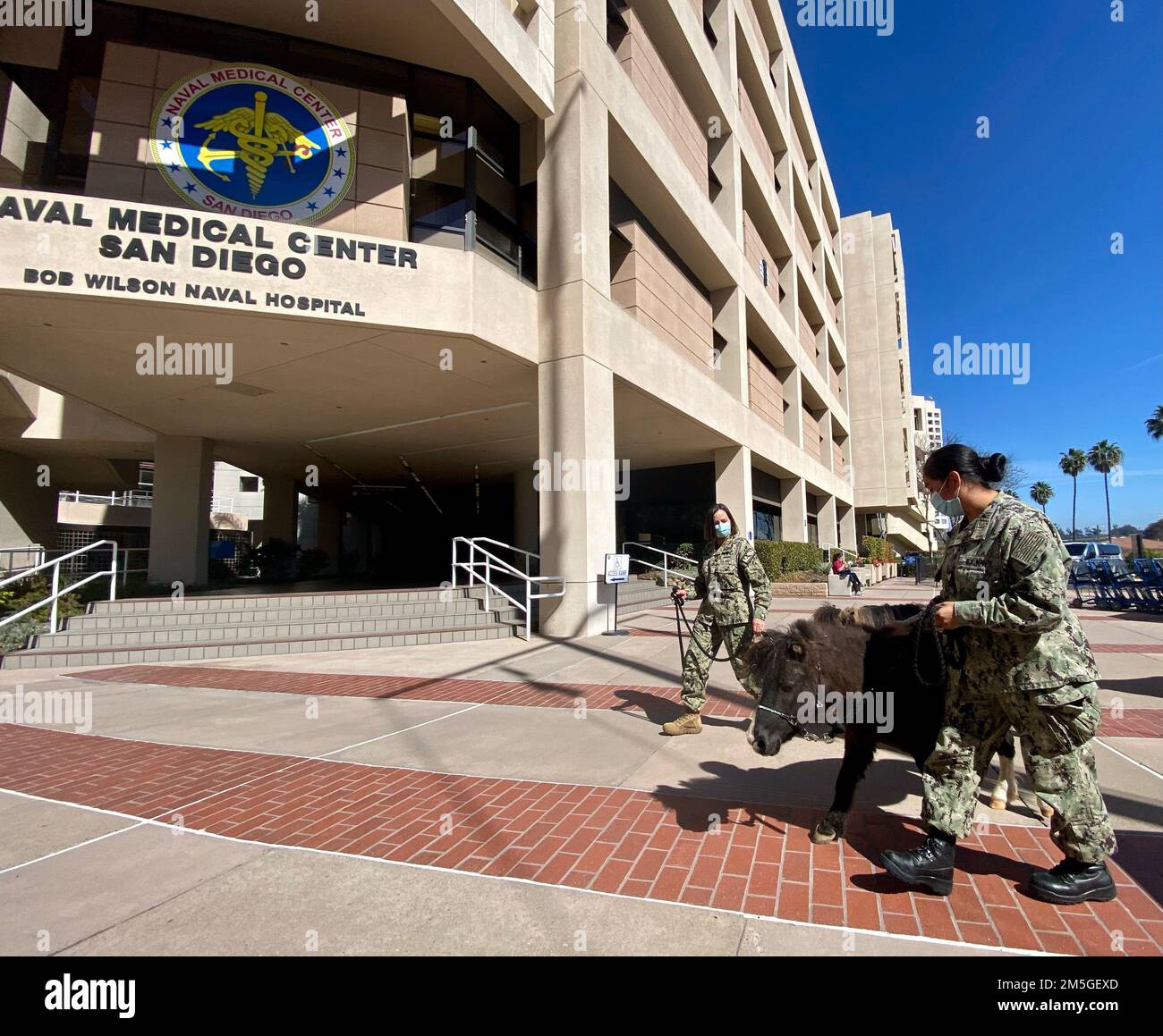 Yeoman kim hi-res stock photography and images - Alamy