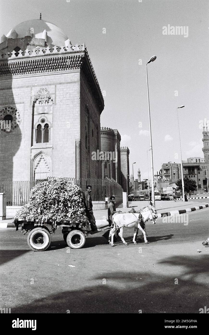 A donkey cart carrying fresh garlic In Islamic Cairo by Mosque-Madrasa ...