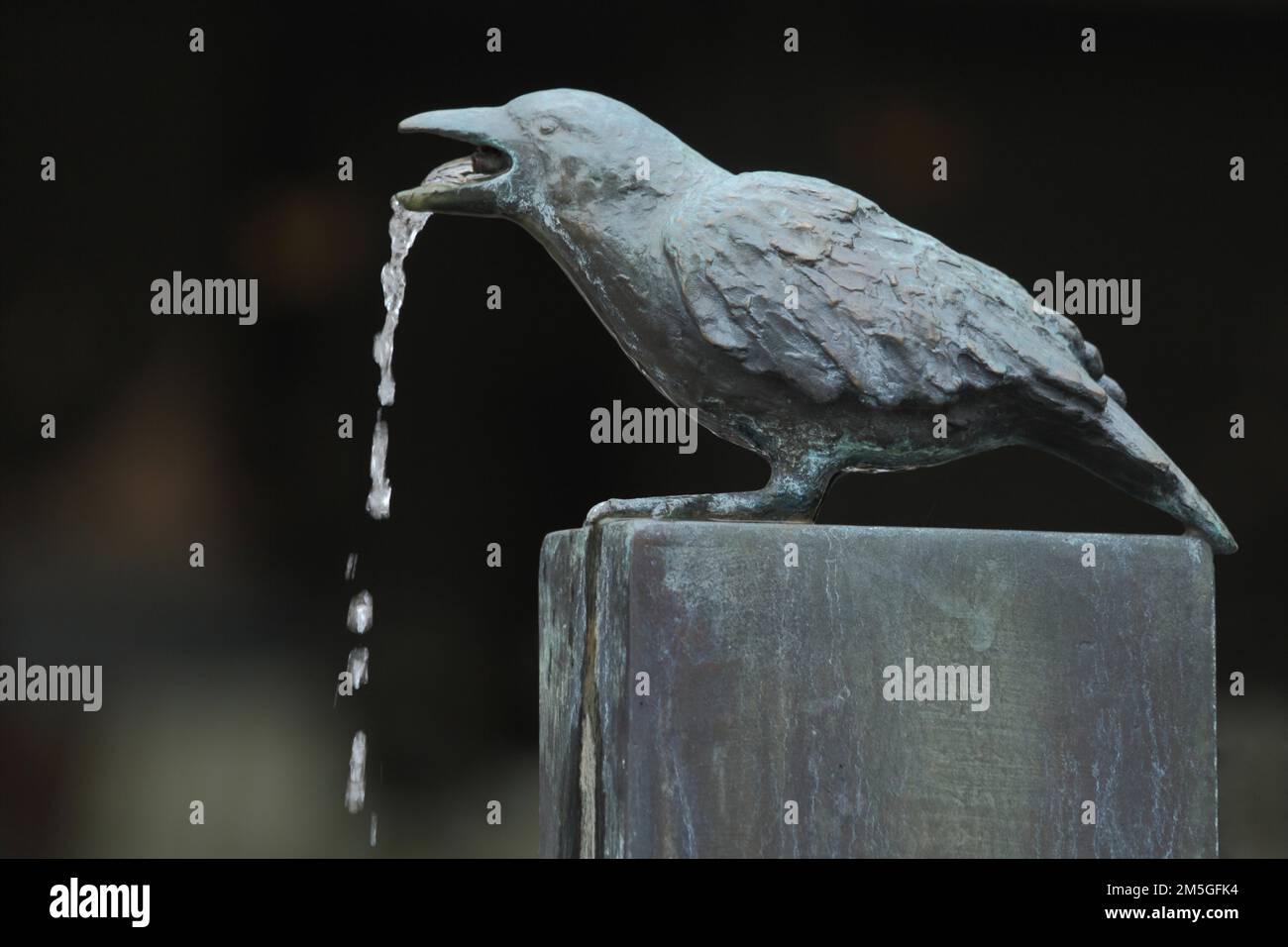 Detail with raven as gargoyle and water jet at the Fools' Fountain ...