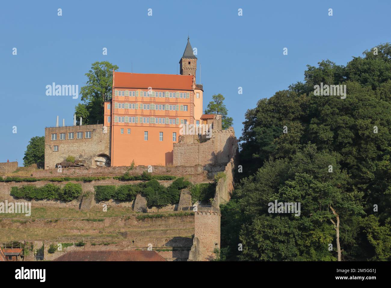 Castle built in 1270 with building and tower in Hirschhorn am Neckar ...