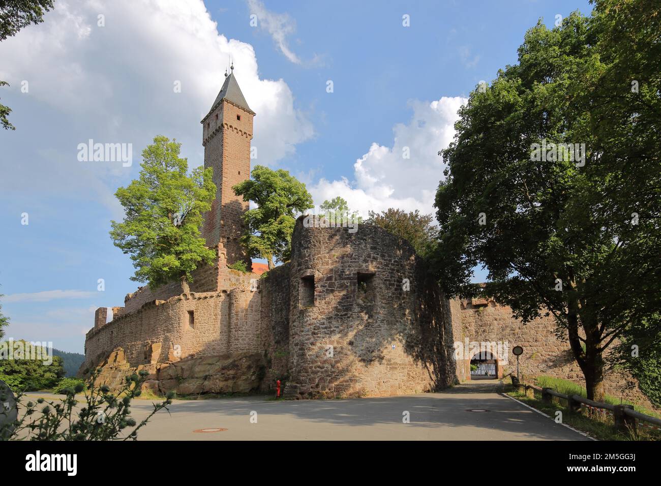 Castle built 1270 in Hirschhorn am Neckar, Neckar Valley, Odenwald ...