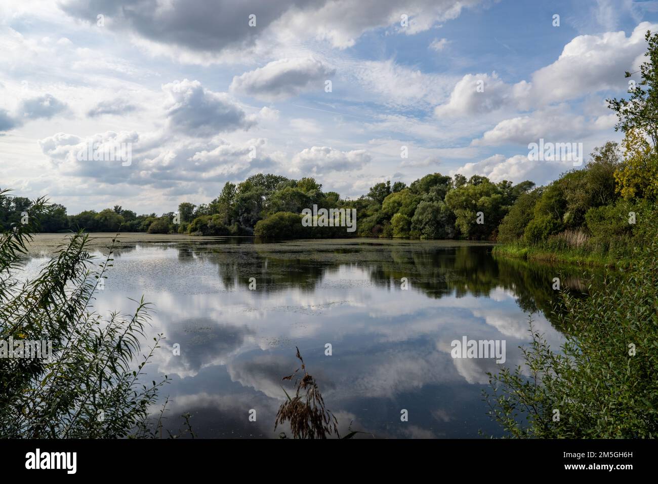 Rewilded gravel pit in Northamptonshire UK Stock Photo - Alamy