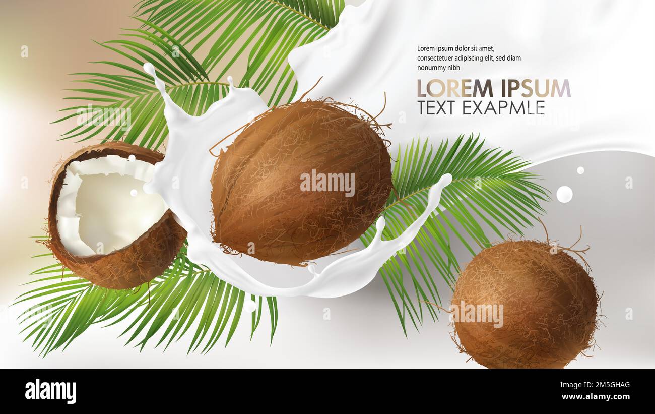Coconut milk splash swirl realistic vector background. White liquid ...