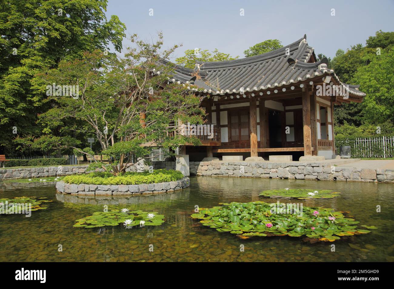 Korean Garden with Temple Pavilion Plum Arbour with Pond and Water ...