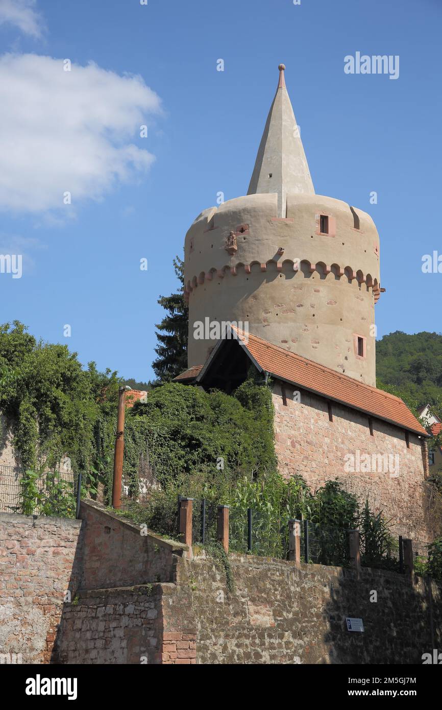 Witches' tower with spire, town wall, Gelnhausen, Hesse, Germany Stock ...