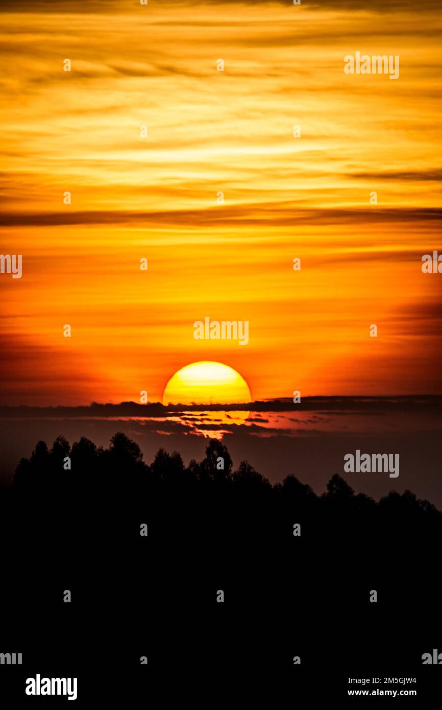 Sunrise over the trees hi-res stock photography and images - Alamy