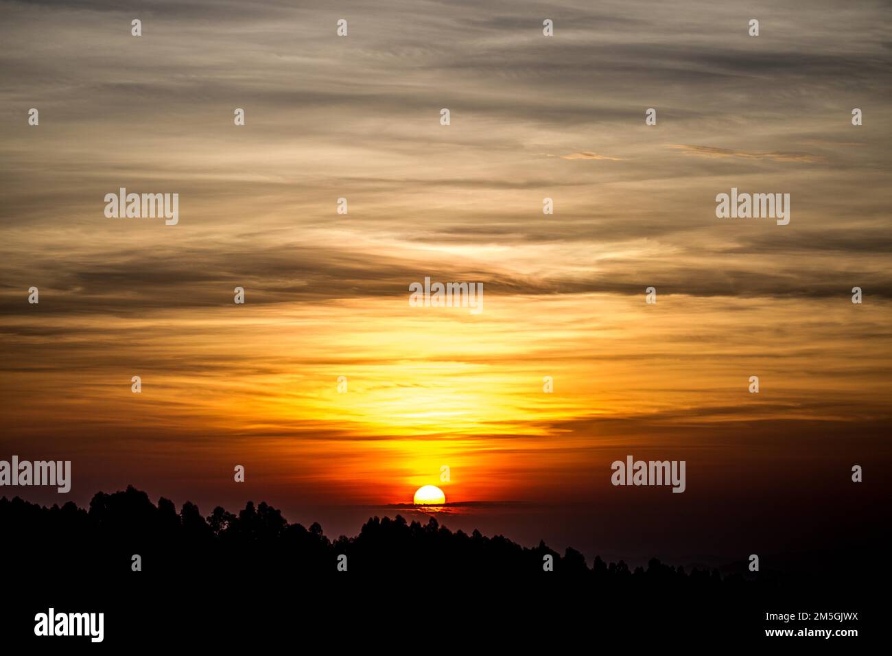 Sunrise over the trees hi-res stock photography and images - Alamy