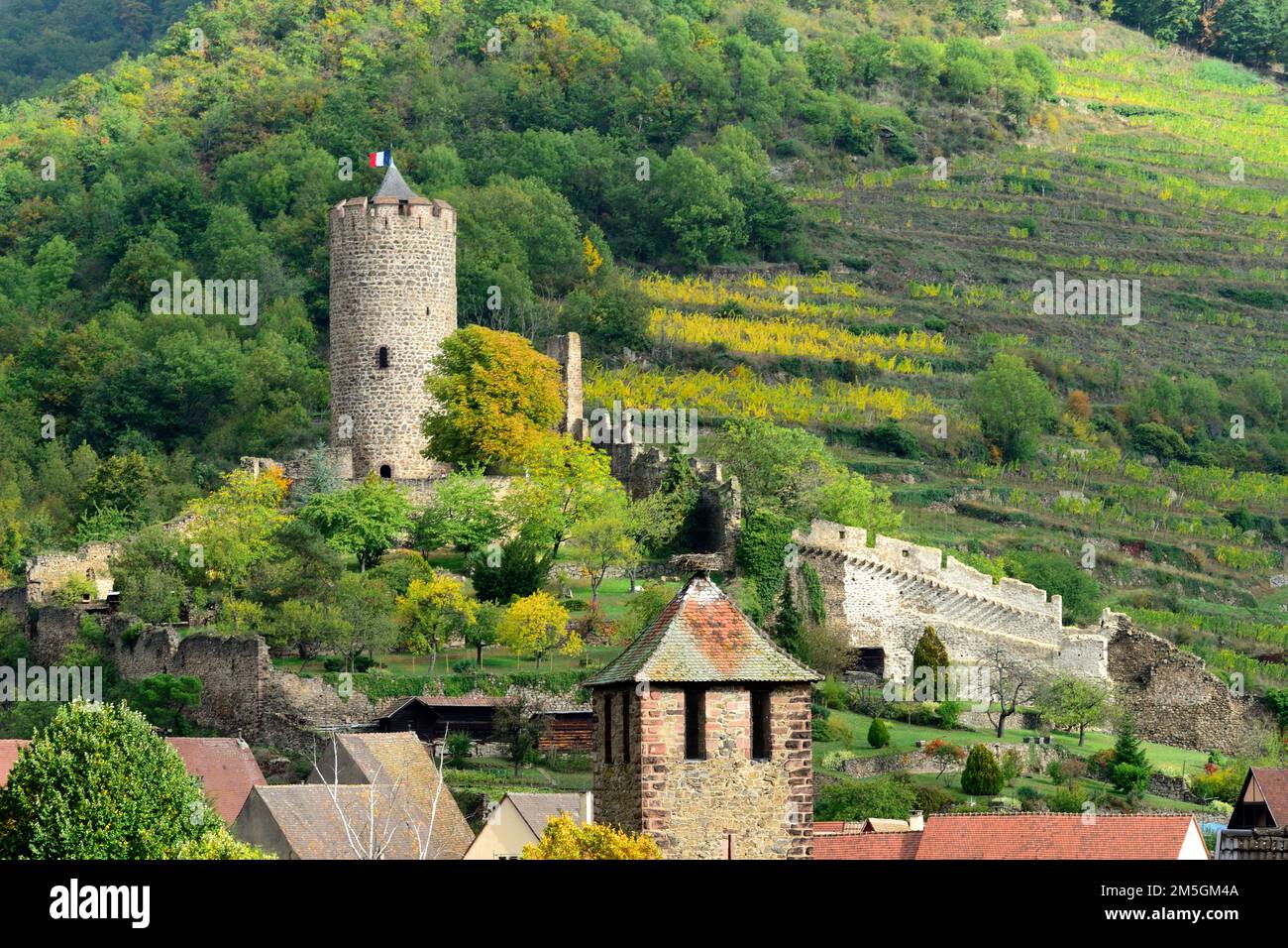 Ruined kayserberg castle hi-res stock photography and images - Alamy