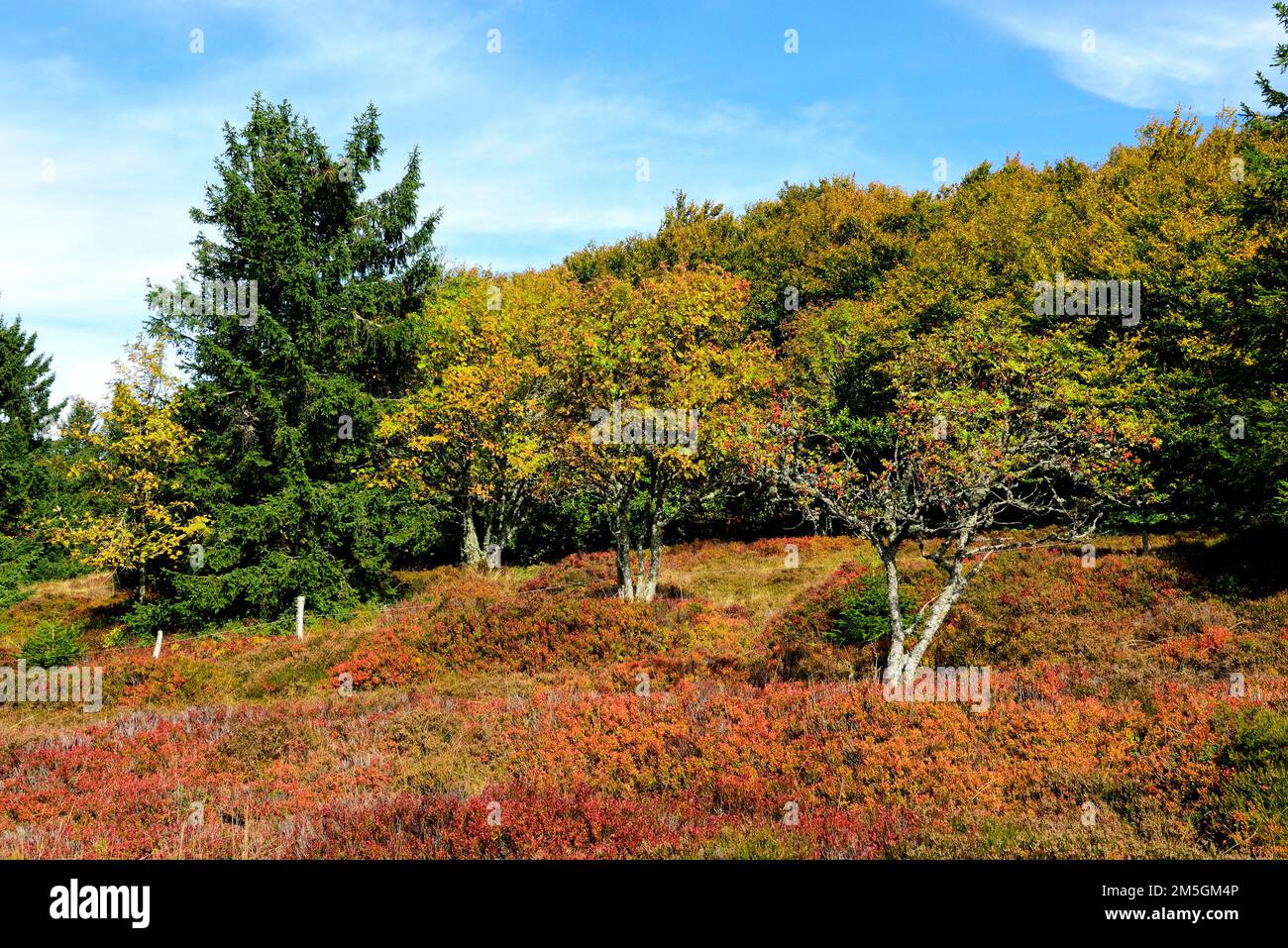 Nature reserve tanet gazon de faing hi-res stock photography and images ...