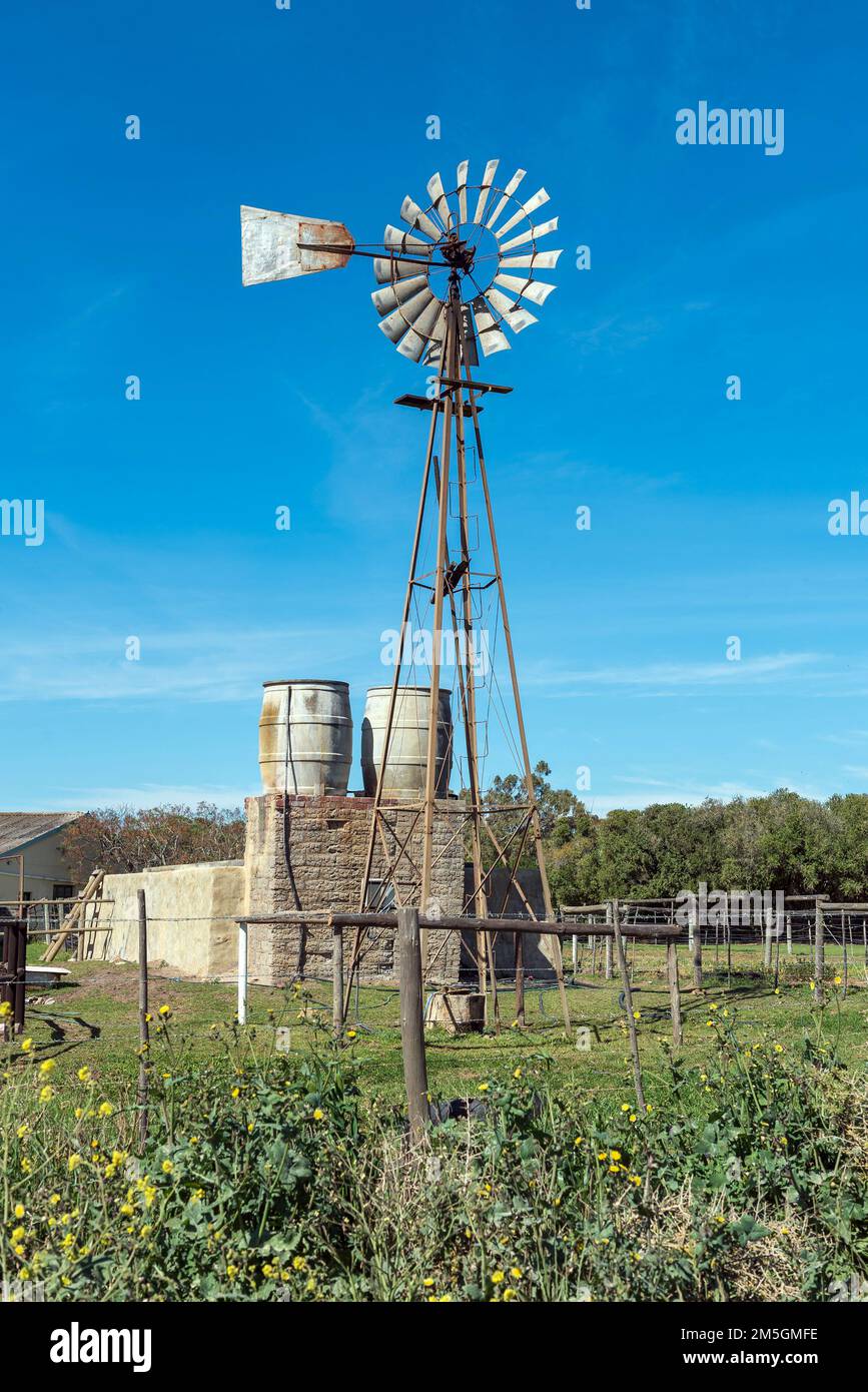 A windmill, water tanks and dam at Prinskraal next to the road between ...