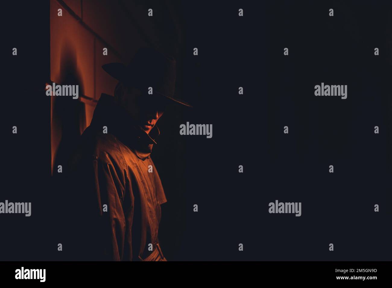 man mafia detective in a hat and raincoat in a night city in the style ...