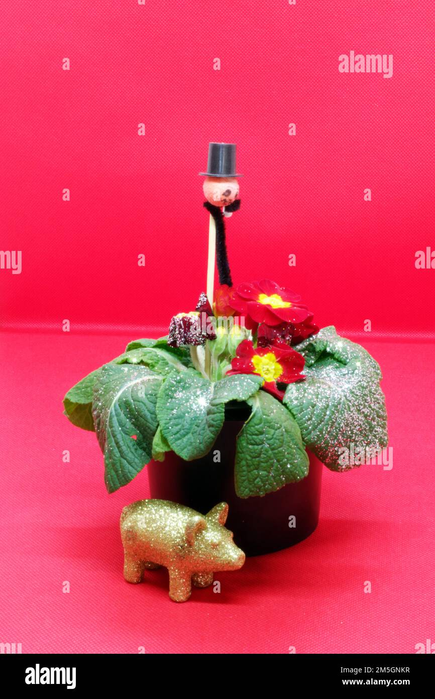 Symbol picture happiness: Primroses with figure of a chimney sweep and ...