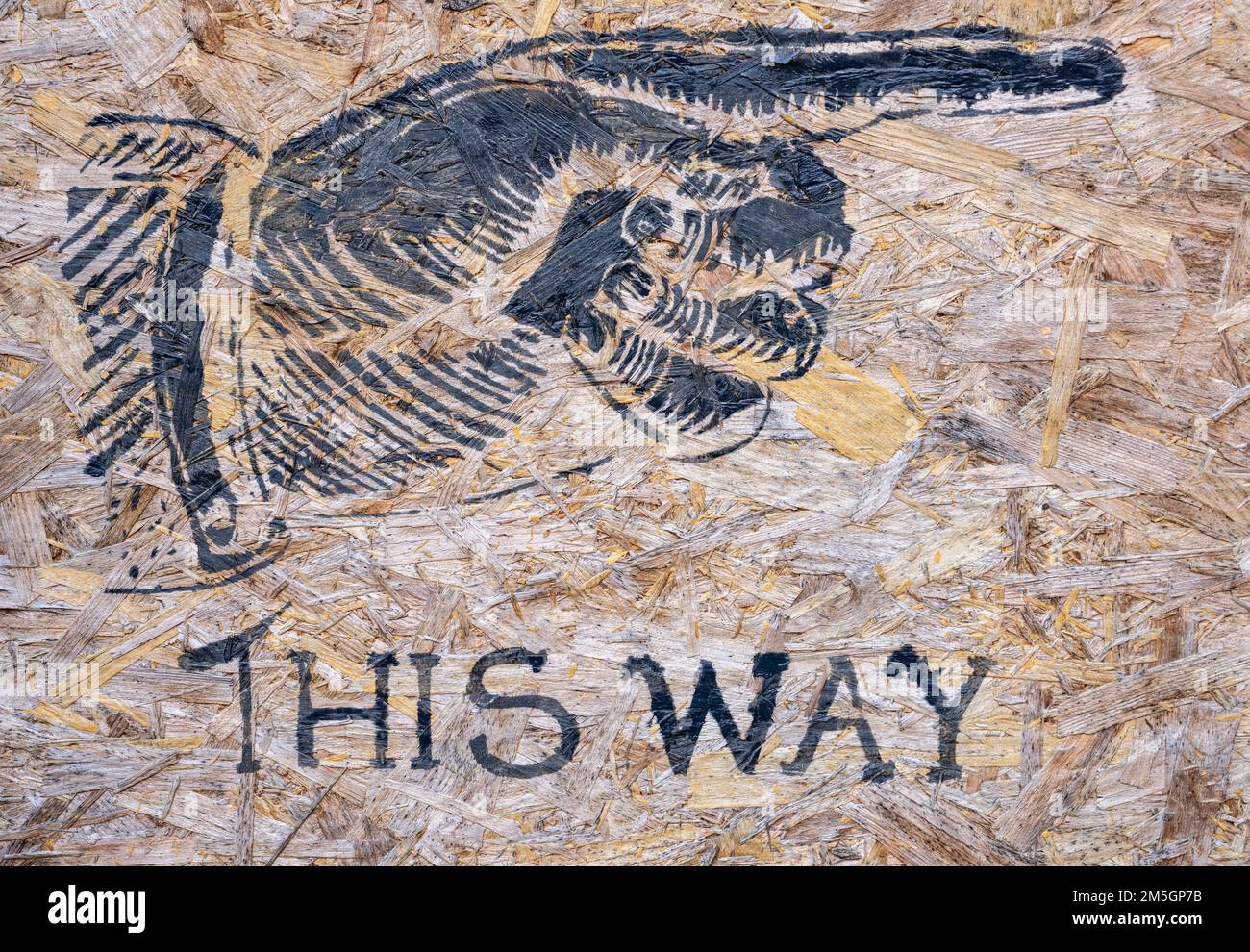 Sign with finger pointing 'This Way' Stock Photo - Alamy