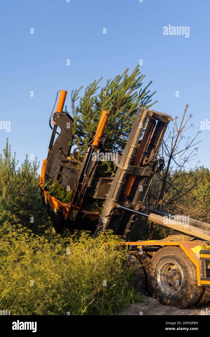 Transplanter hi-res stock photography and images - Alamy