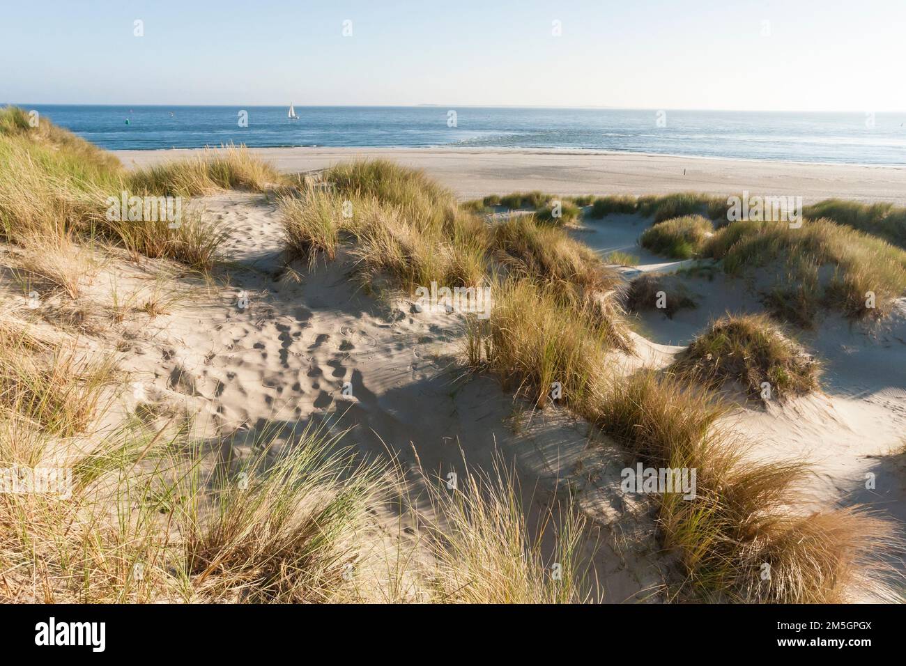 Uitzicht op Waddenzee vanuit duinen; View at Wadden Sea from dunes ...