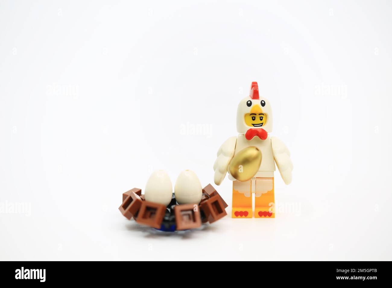 The chicken got a the golden eggs in his net Stock Photo - Alamy