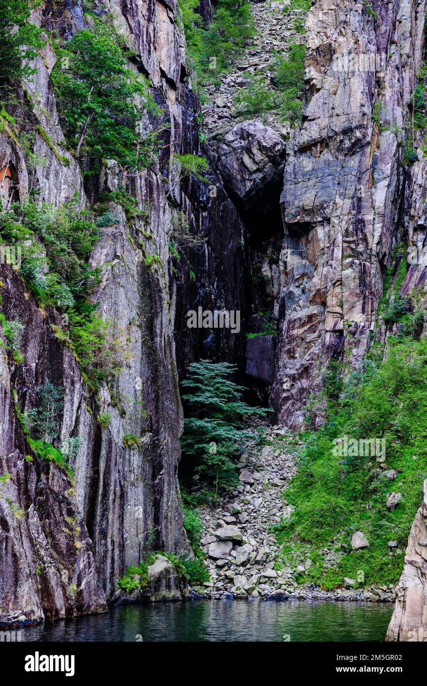 A vertical shot of a high rocky cliff with green nature and vegetation ...
