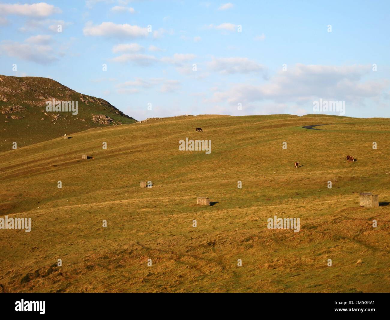 Line of hunter hides at Roncevaux Pass in Spain. Camino de Santiago de ...