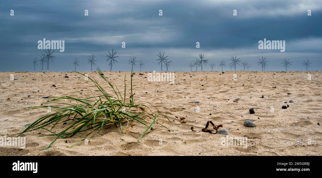 View of North Sea wind turbines over a beach near Teesside in Yorkshire ...
