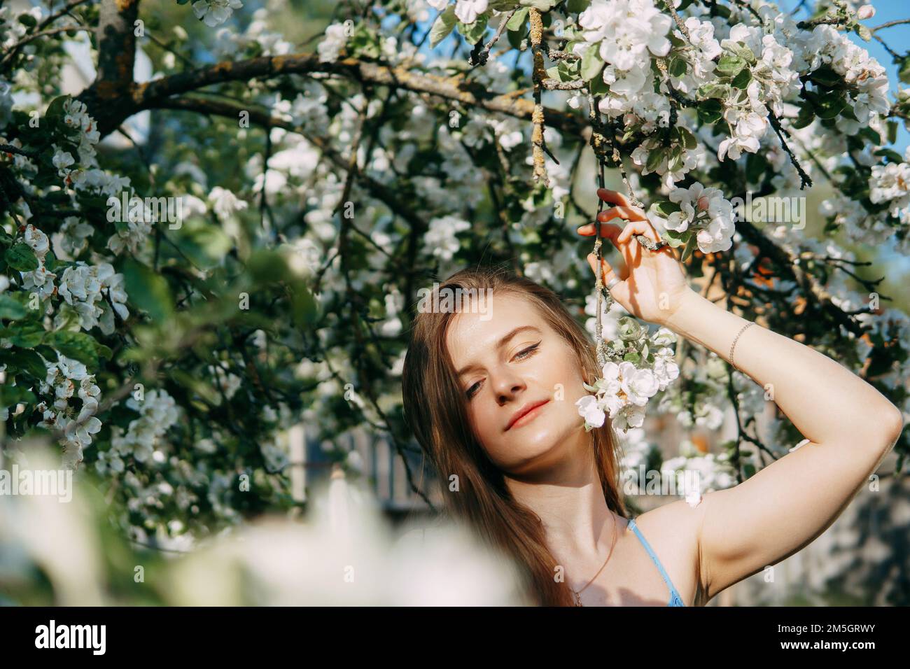 Beautiful young girl in a blue dress in a blooming Apple orchard ...