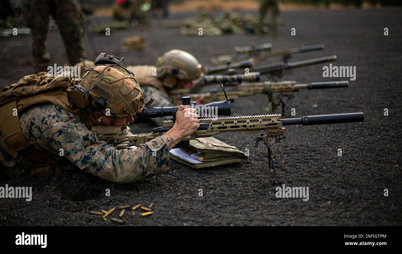 A U.S. Marine with Battalion Landing Team 1/5, 31st Marine ...