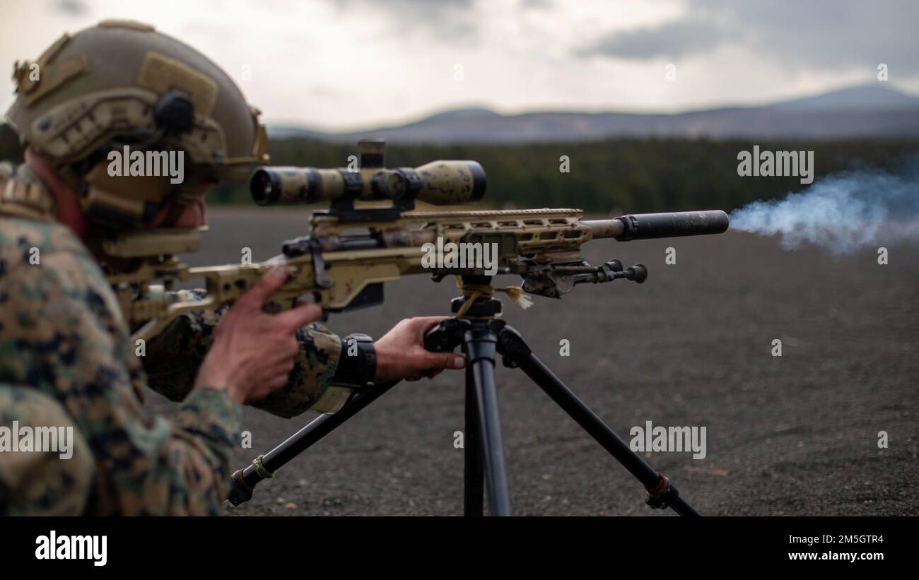 Totally Hidden Marine Scout Sniper