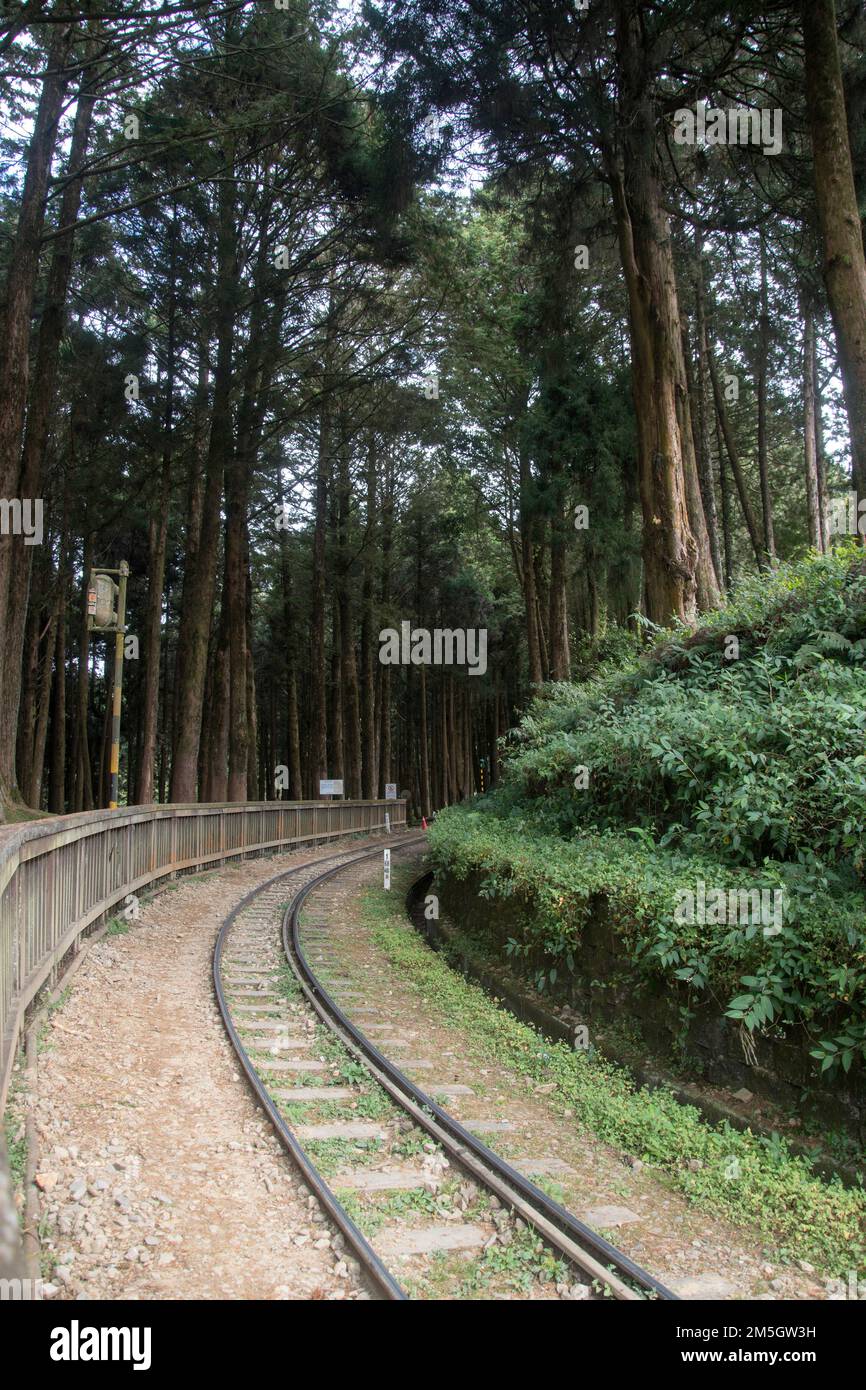 Alishan national scenic area hi-res stock photography and images - Alamy