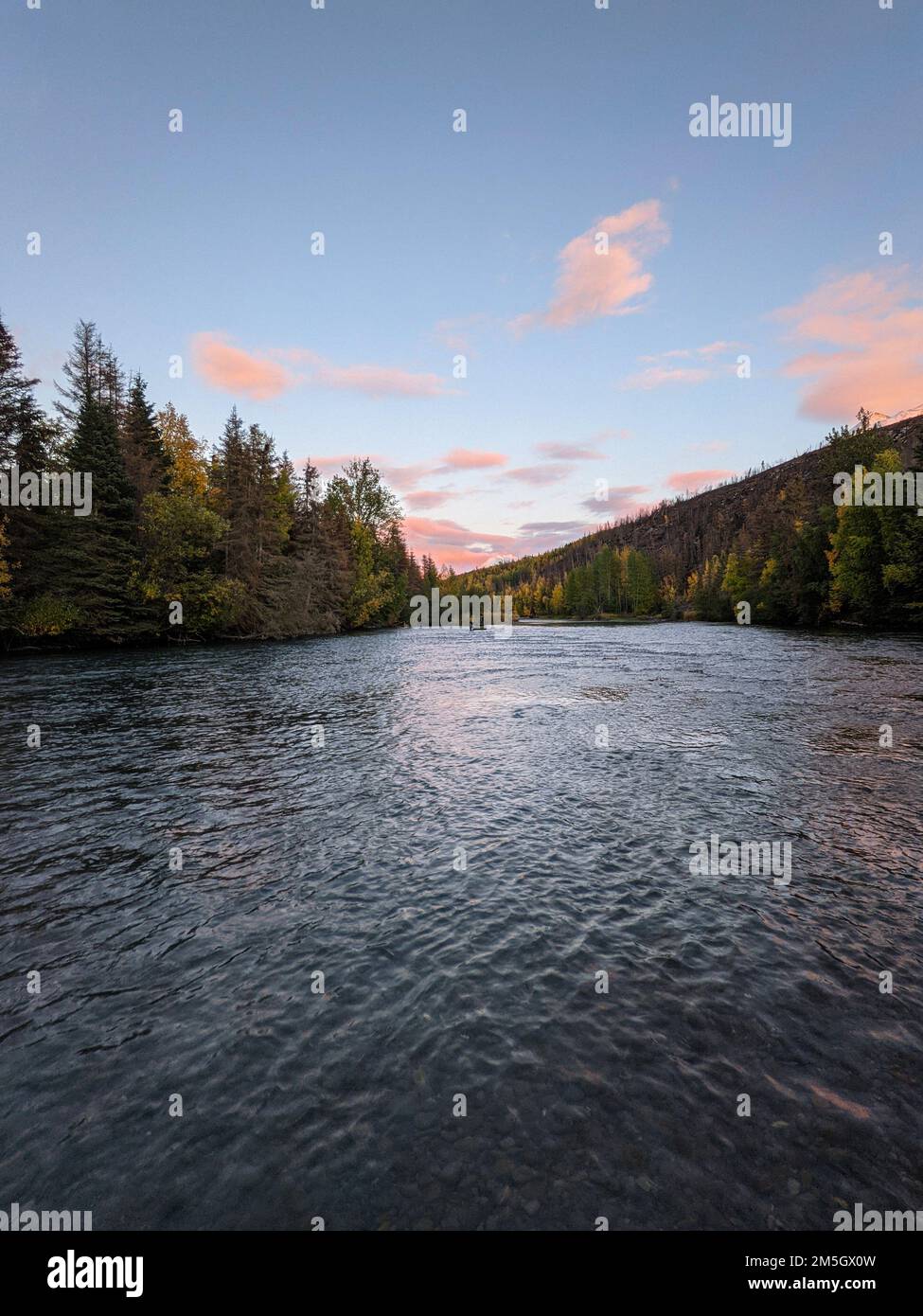 alaska river kenai river sunset stream spruce trees Stock Photo - Alamy