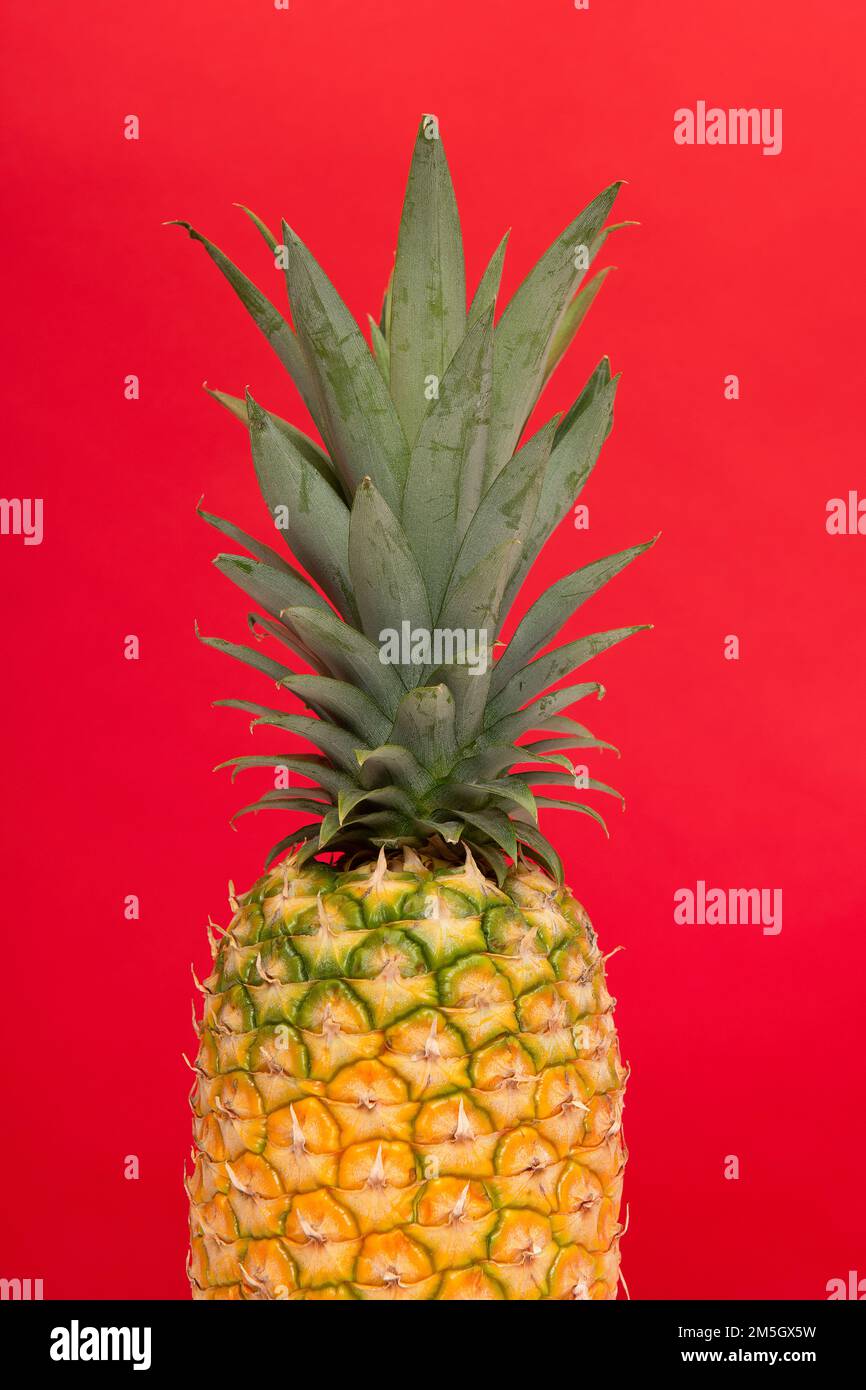 Half part of a pineapple on a red background Stock Photo - Alamy