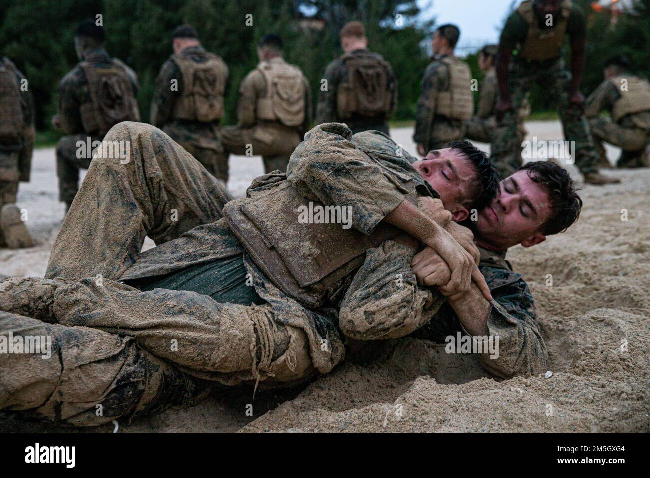 Grapple in hi-res stock photography and images - Alamy