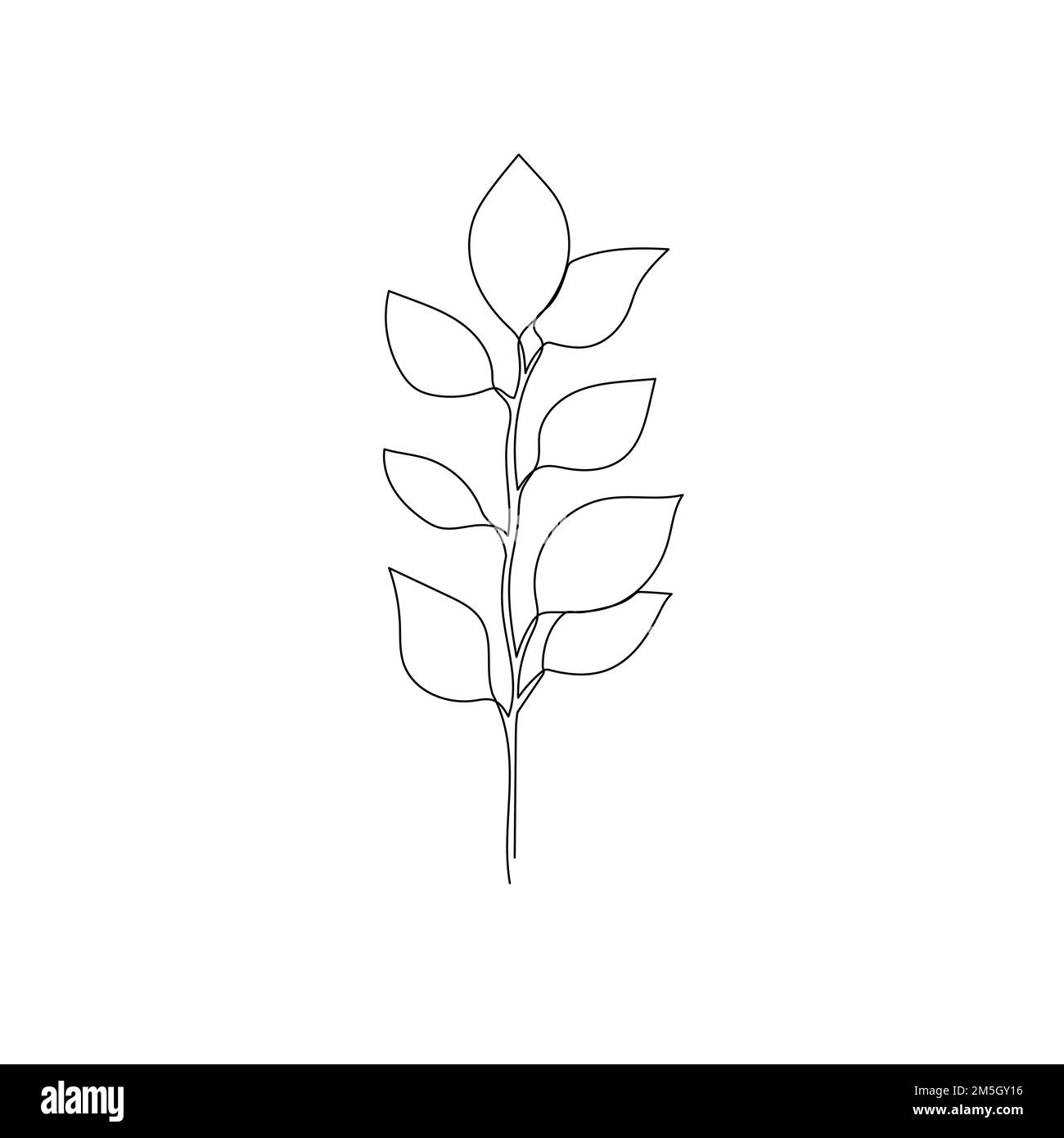 Outline plant eucalyptus leaf. One continuous line art decorative plant ...