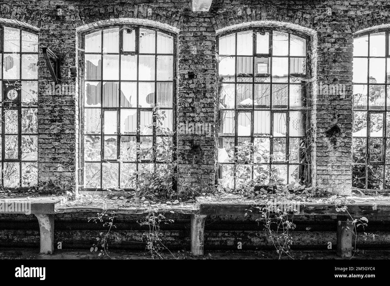 Industrial windows in an abandoned factory in black and white Stock ...