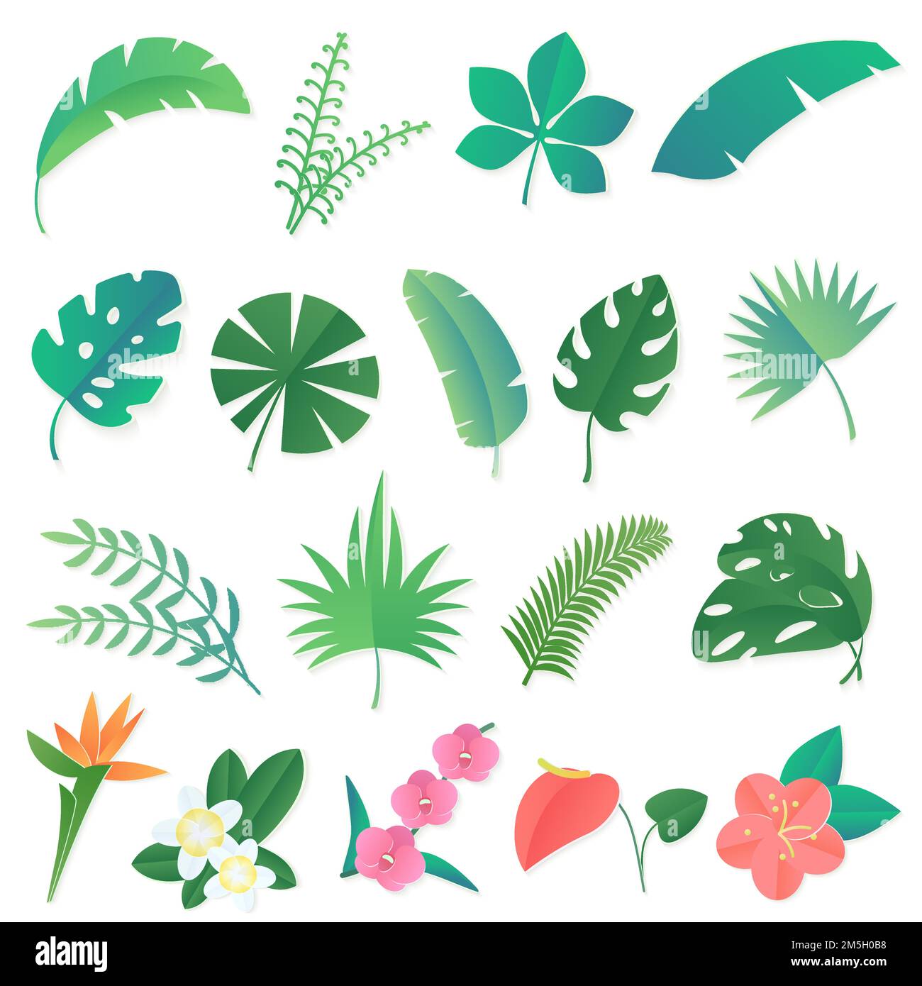 Vector cartoon set of isolated tropical leaves. Palm, banana leaf ...