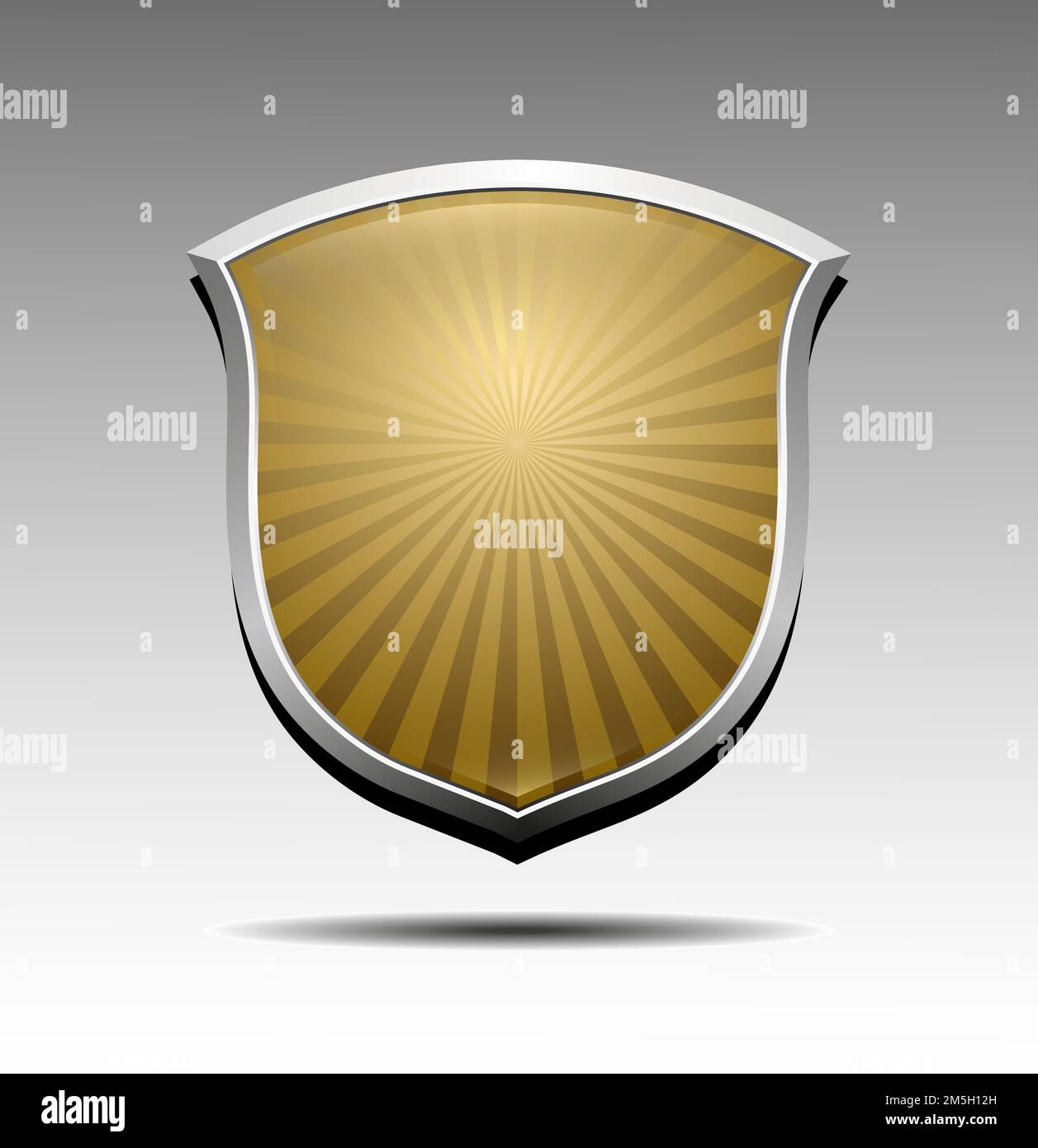 Family heraldic shield. Design for games and logos Stock Vector Image ...