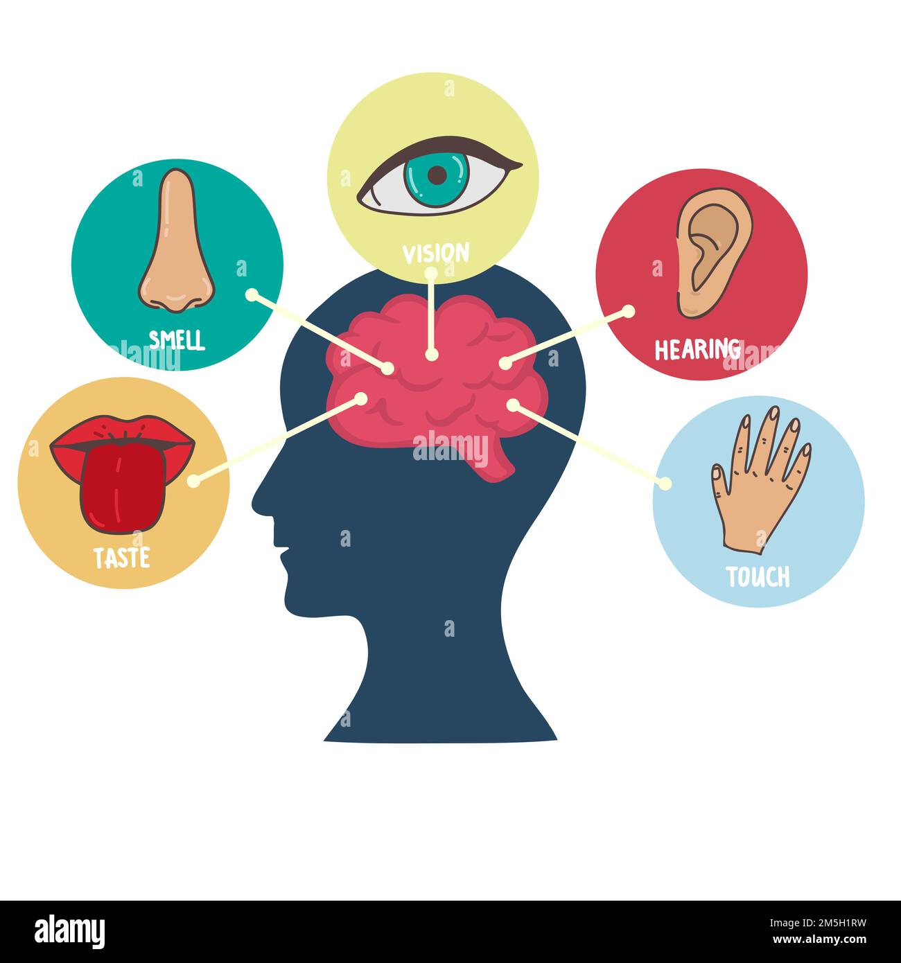 Five human senses line icons set. Vision, smell, hearing, touch, taste ...