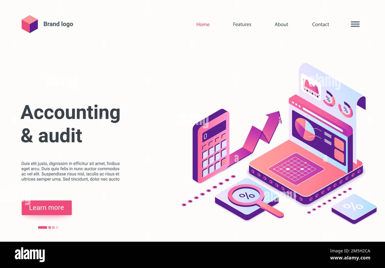 Accounting and audit isometric vector illustration. Profit growth ...