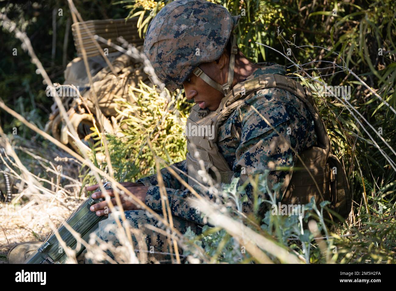 Marines headquarters battalion 1st marine hi-res stock photography and ...