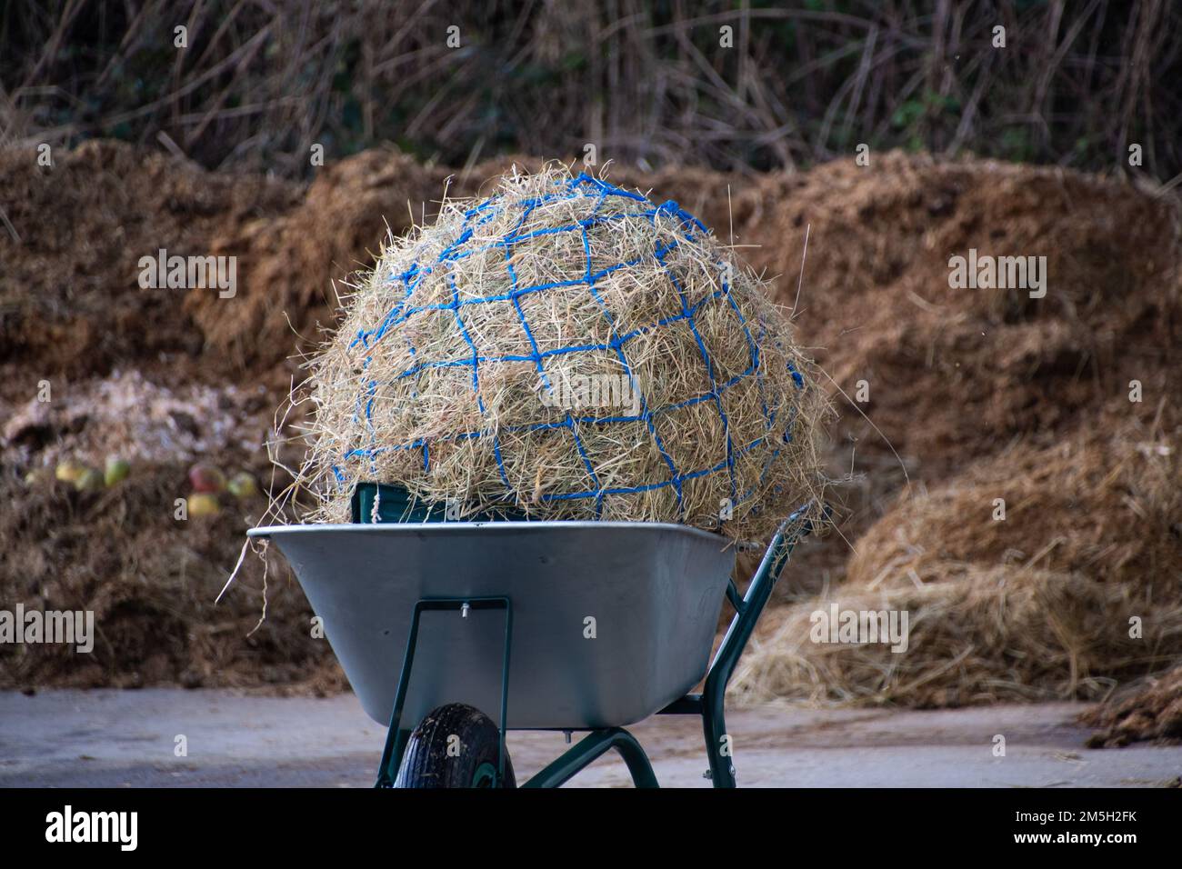 Hay nets in a wheel barrow Stock Photo - Alamy