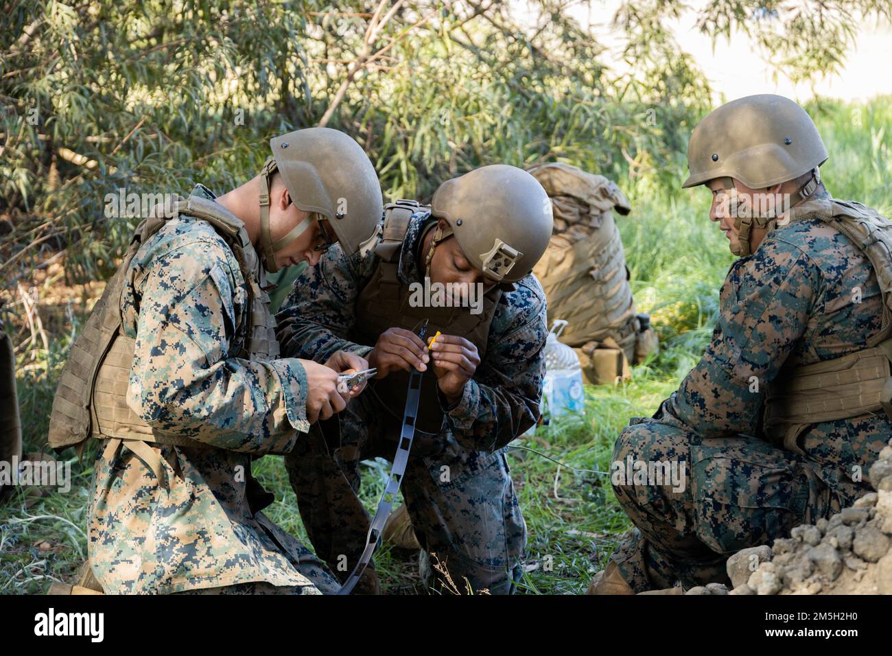 1st Recon Company Logo