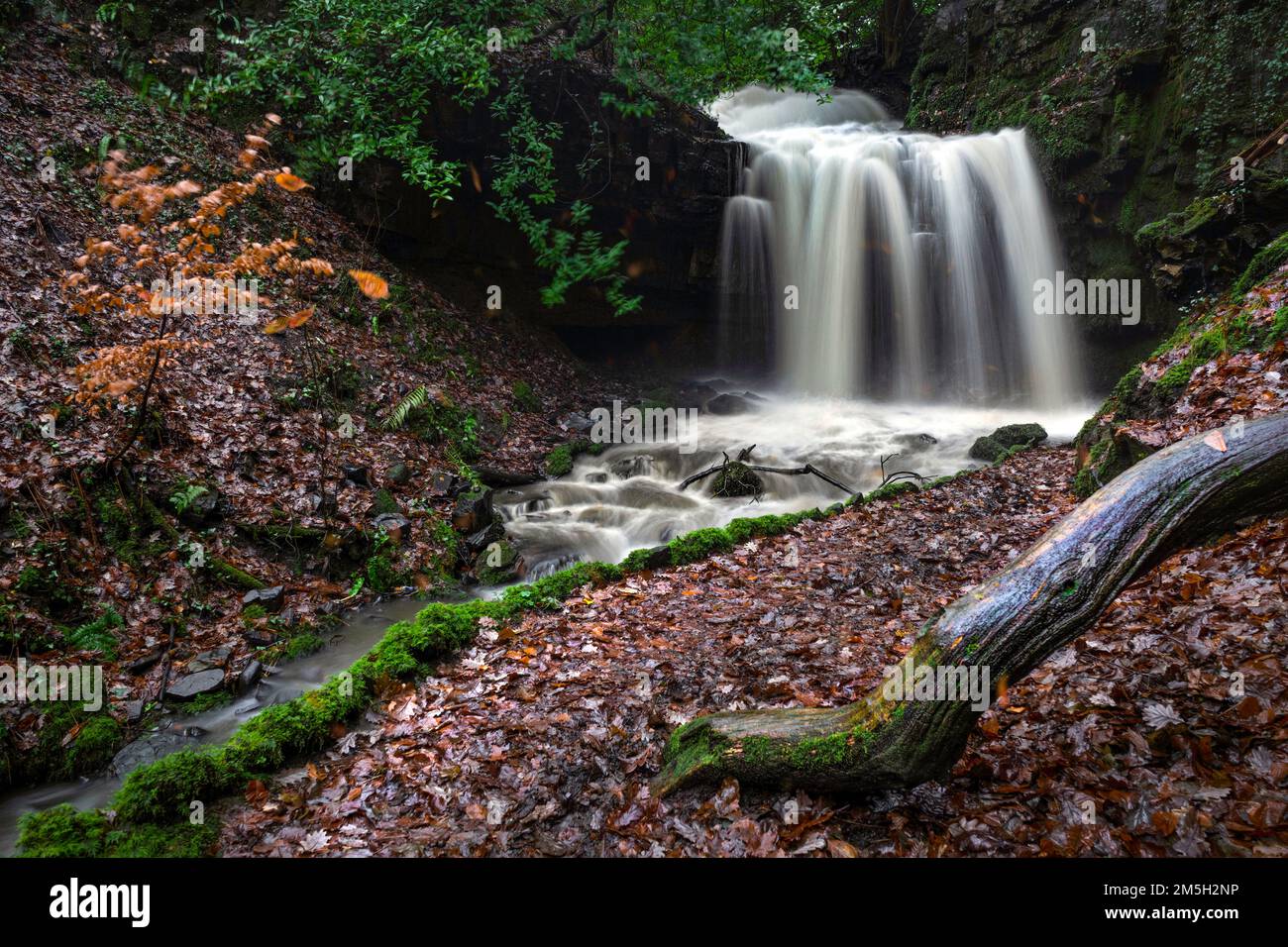 Abbey creek hi-res stock photography and images - Alamy