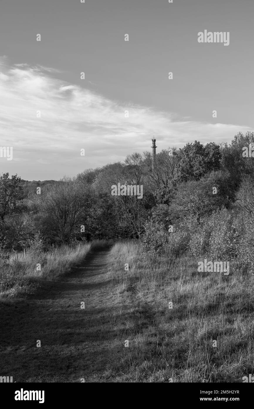 Landscape photo of the Admiral Hood Monument on the Polden Way footpath ...