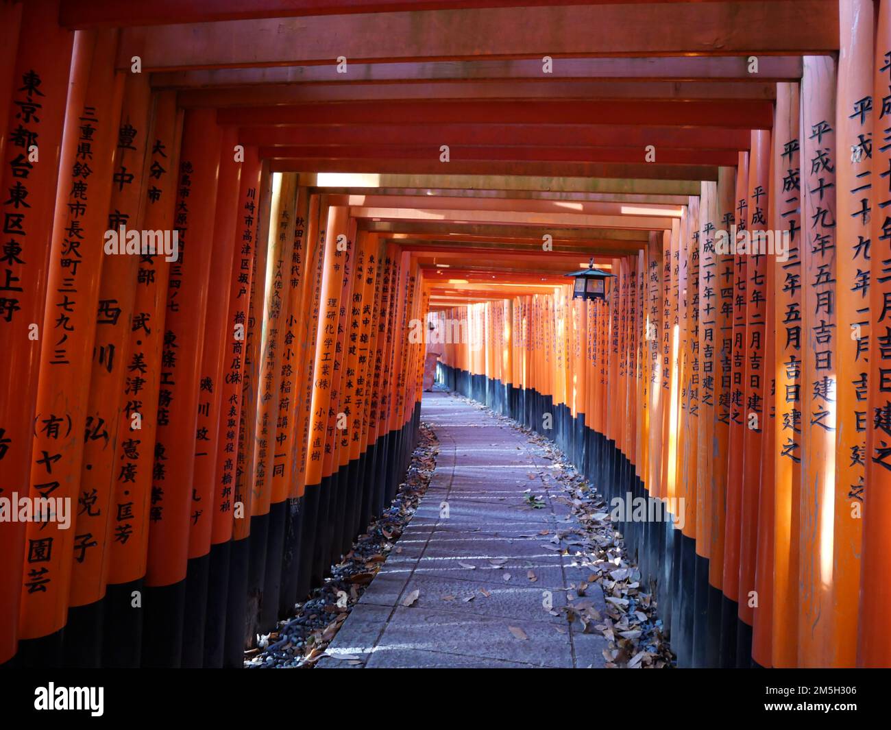 A beautiful view of Fushimi Inari Shrine in Kyoto in Japan Stock Photo ...