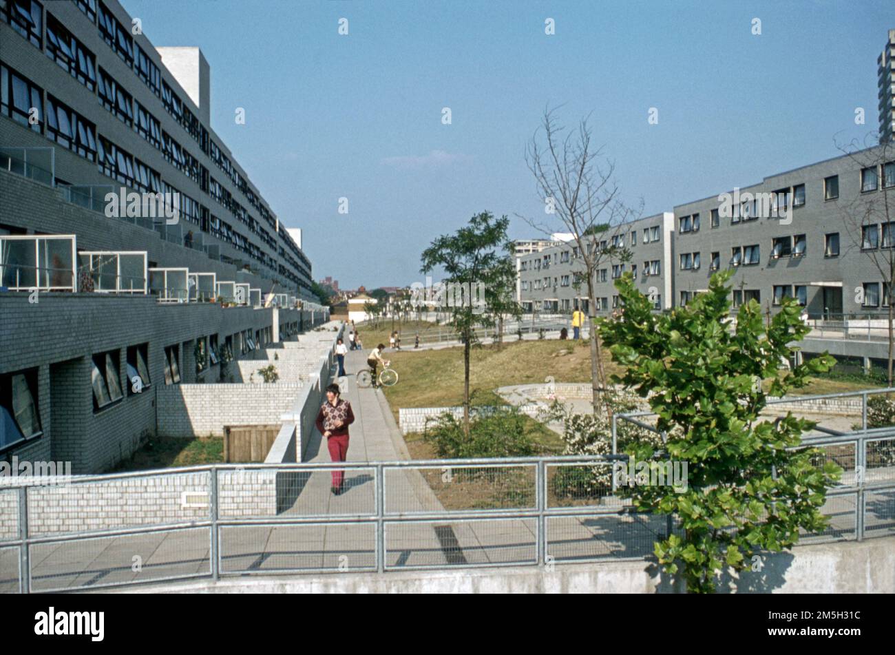 A view looking east from Southampton Road at the of the blocks of flats ...
