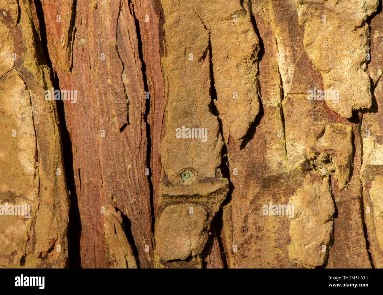 Patterns and texture hi-res stock photography and images - Alamy